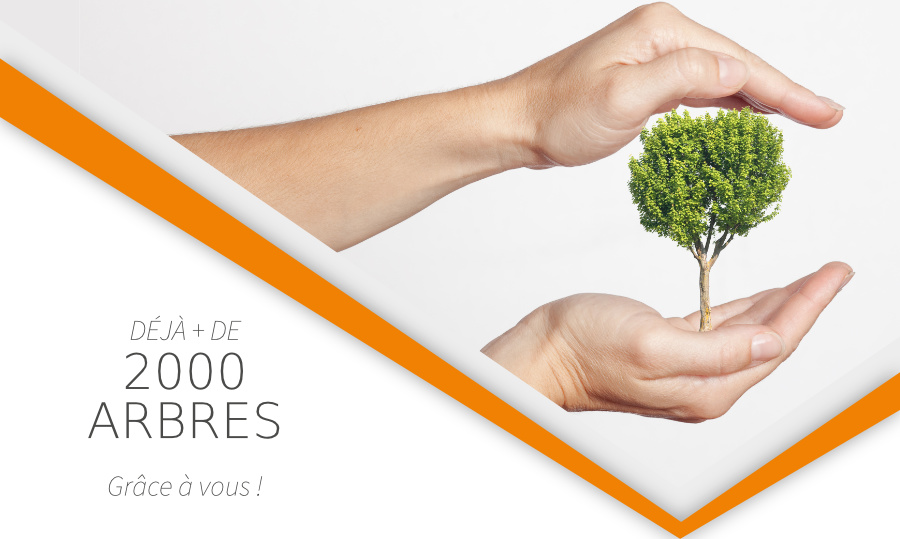 Descamps Bois | Négociant en bois Nord-Pas-de-Calais, nord de Paris ...