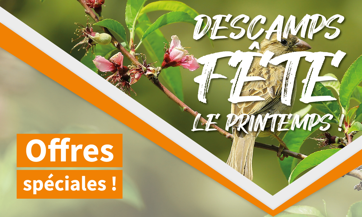 Descamps Bois | Négociant en bois Nord-Pas-de-Calais, nord de Paris ...